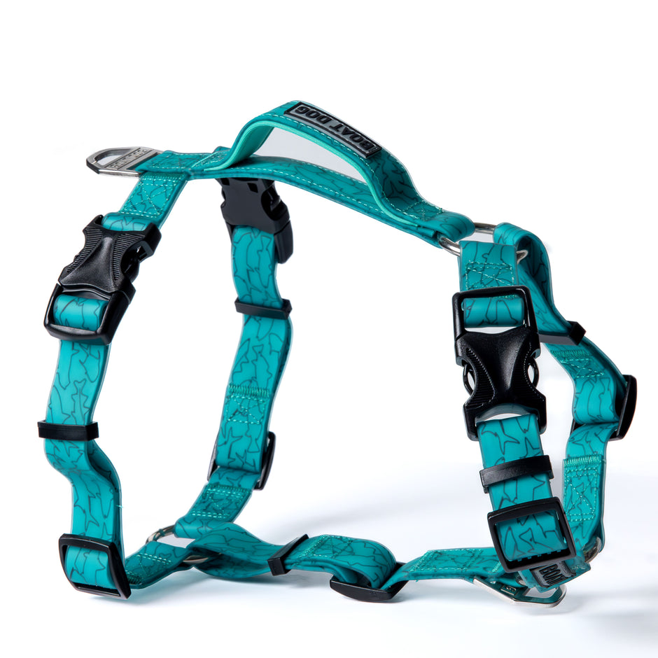 Waterproof Harnesses – Boat Dog